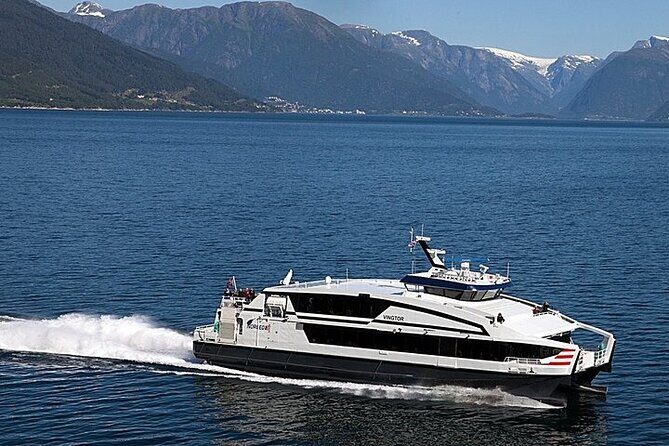 Bergen: Self-Guided Roundtrip (Sognefjord Cruise 5h & Flamsbana) - Who Will Love This Tour?