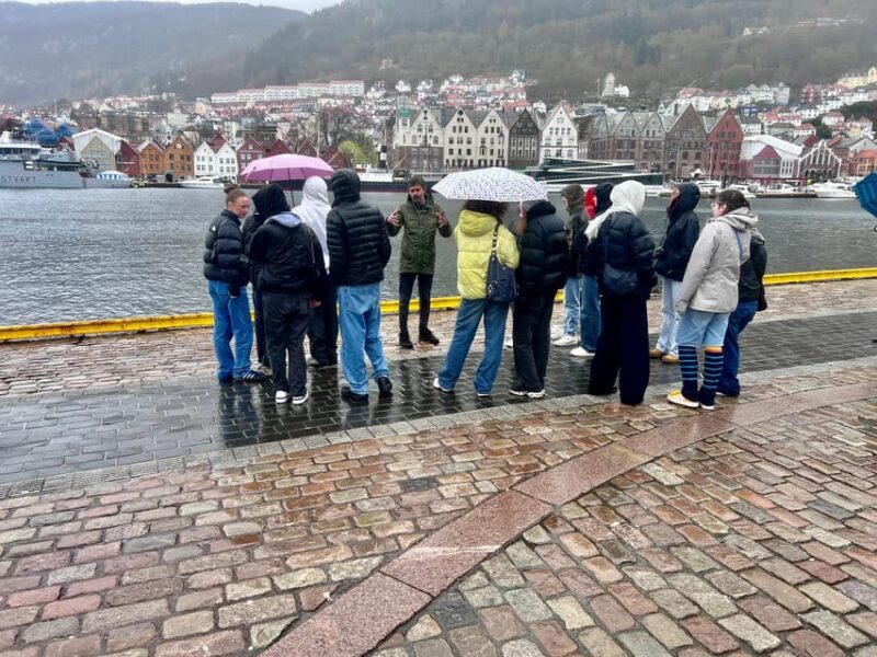 Bergen: Sightseeing Walking Tour with Ferry Ride - Practical Considerations