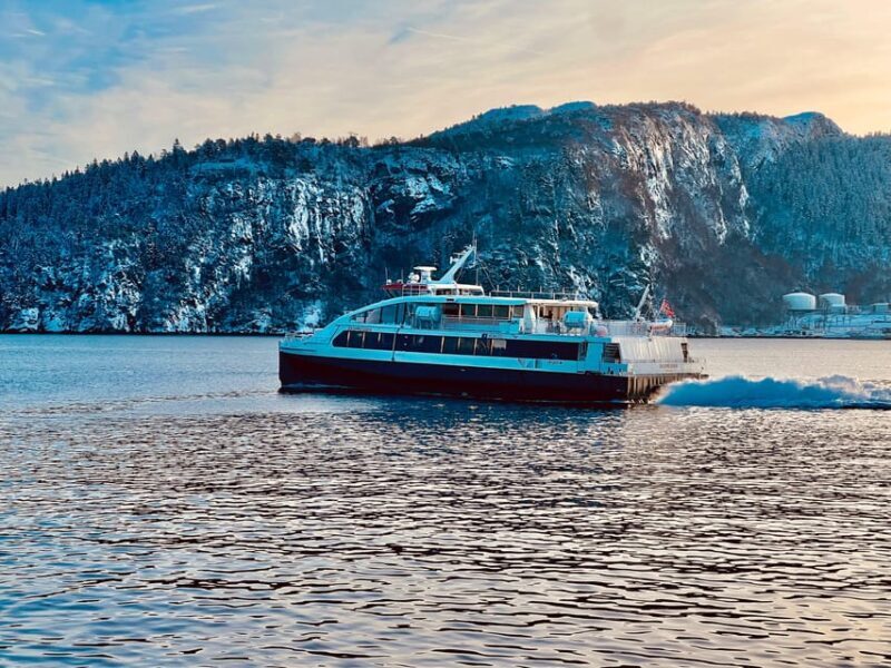 Bergen: Sightseeing Walking Tour with Ferry Ride - Who Should Consider This Tour?
