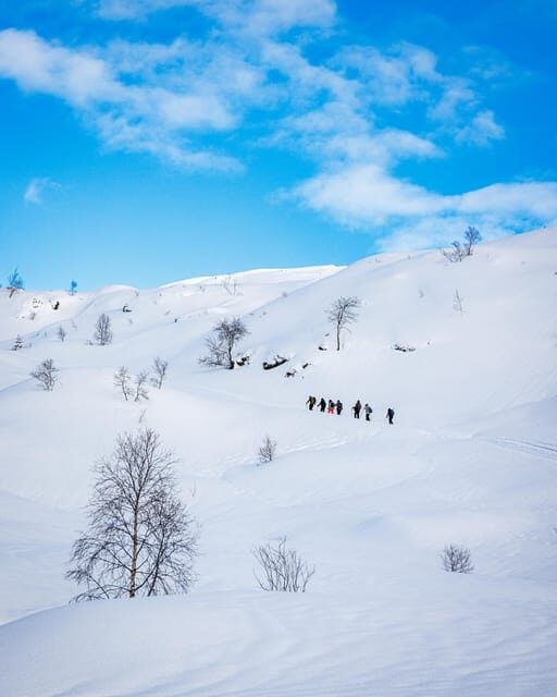 Bergen: Snowshoe Hike - Public Tour - Key Points
