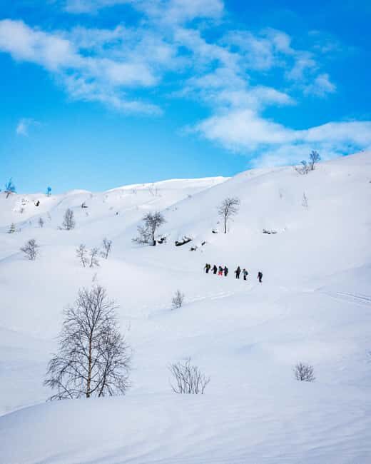 Bergen: Snowshoe Hike - Key Points