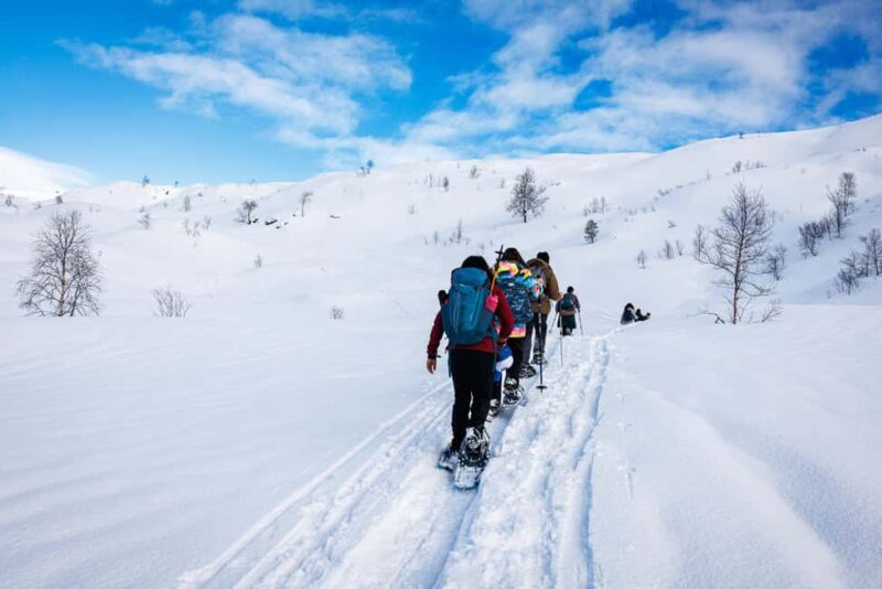 Bergen: Snowshoe Hike - A True Norwegian Winter Adventure: An In-Depth Look