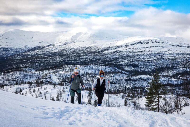 Bergen: Snowshoe Hike - Itinerary Breakdown