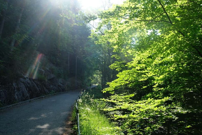 Bergen: Urban Mountain Hiking and History Tour - Practical Details and Value