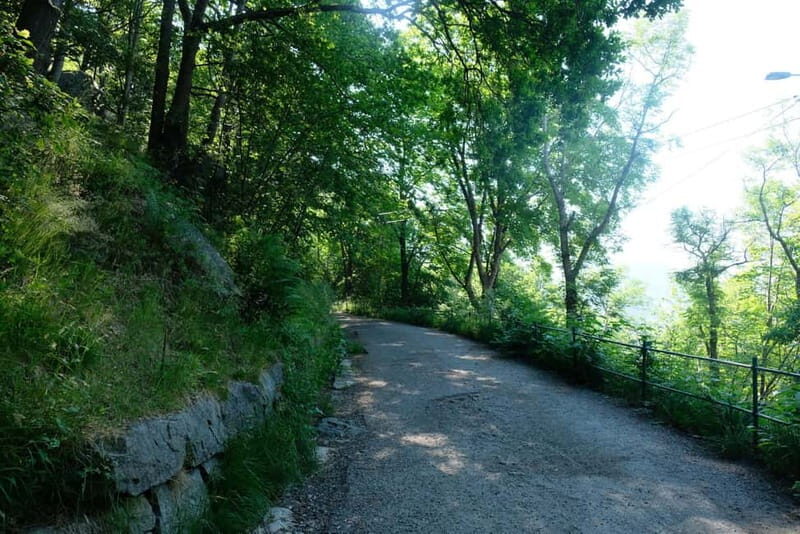 Bergen: Urban Mountain Hiking and History Tour - FAQ