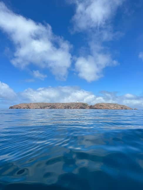 Berlenga Island: Kayak Tour and Glass-bottom Boat Trip - A Closer Look at the Itinerary