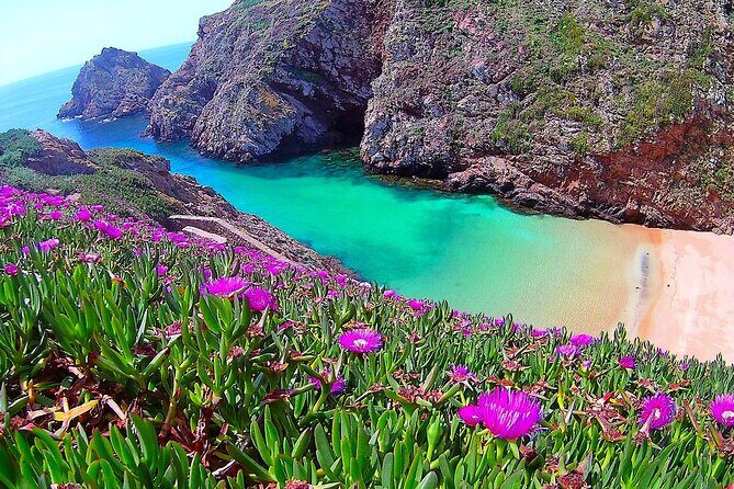 Berlengas Island Catamaran Tour - Round Trip - Practical Details and Tips