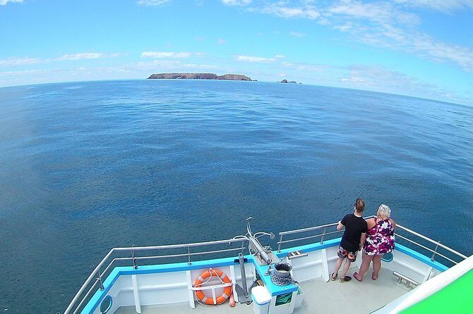 Berlengas Island Catamaran Tour - Round Trip - Who Will Love This Tour?
