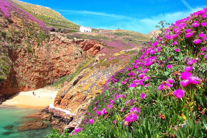 Berlengas Island Catamaran Tour + Snorkeling - Final Thoughts: Who Will Love This Tour?