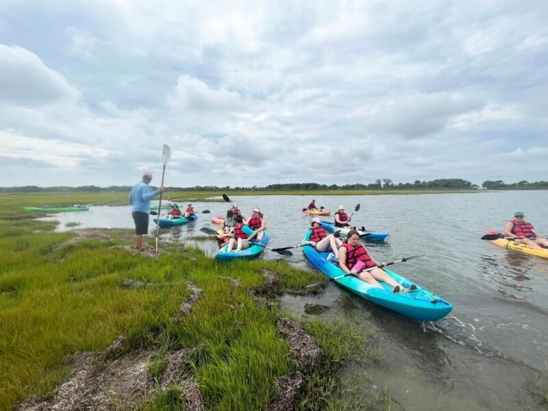Berlin: Assateague Island Wildlife Discovery Kayak Tour - What You Can Expect from the Tour