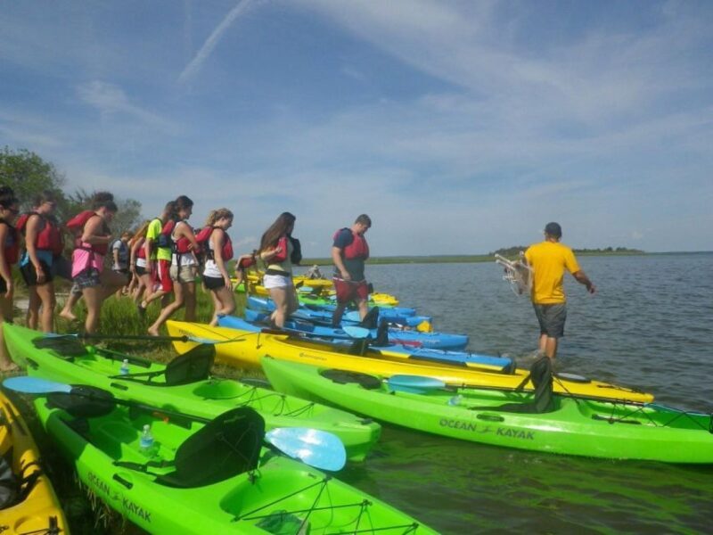 Berlin: Assateague Island Wildlife Discovery Kayak Tour - The Role of Guides and the Overall Experience