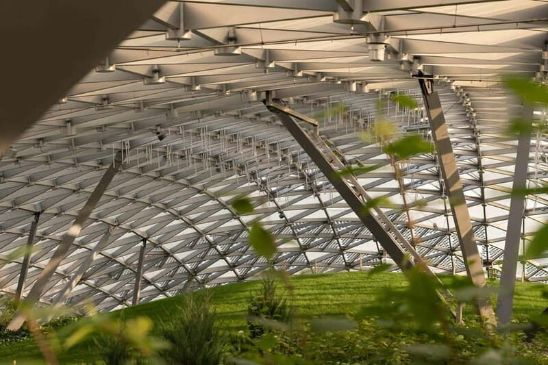 Berlin: Botanic Garden Berlin Entry Ticket with Audio Guide - Discovering the Berlin Botanical Garden