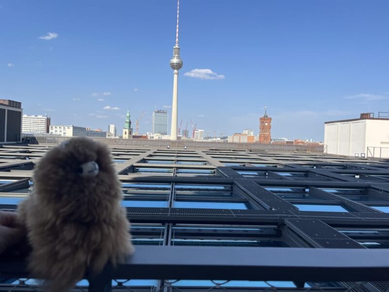 Berlin: Cold War Private Walking Tour - The Itinerary in Detail