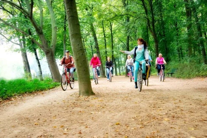 Berlin: Guided Bike Tour to explore the Highlights - The Experience: What Riders Say