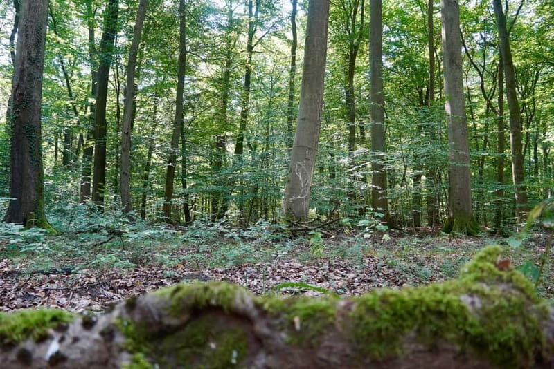 Berlin: Historical Tour along the Death March Path with Car - Final Thoughts: Who Is This For?