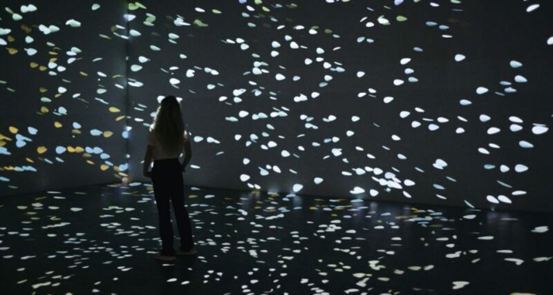 Berlin: Lighthouse of Digital Art Ticket - Key Points