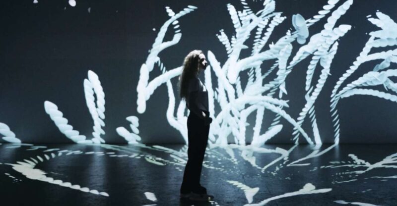 Berlin: Lighthouse of Digital Art Ticket - The Experience at a Glance