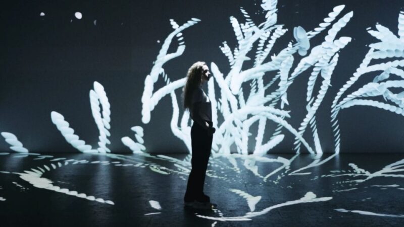 Berlin: Lighthouse of Digital Art Ticket - How Reviews Reflect the Experience