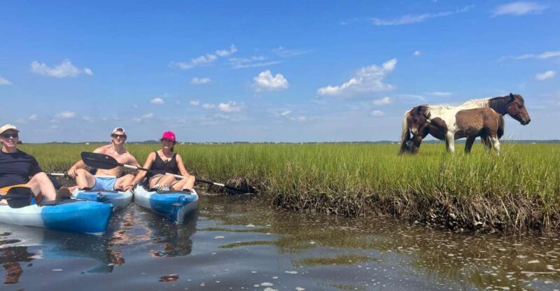 Berlin, MD: Full-, Half, or Quarter-Day Kayak Rental - Introduction