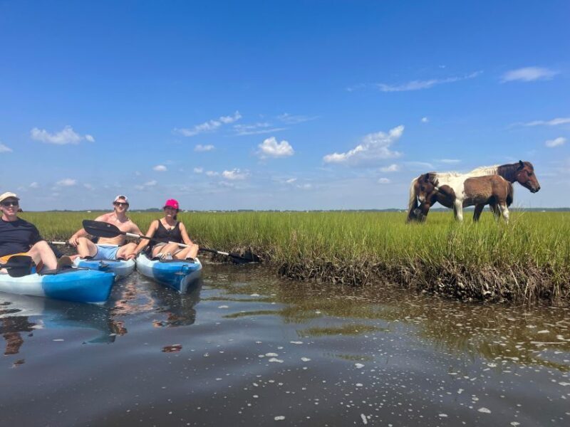 Berlin, MD: Full-, Half, or Quarter-Day Kayak Rental - Authentic Reviews and Feedback