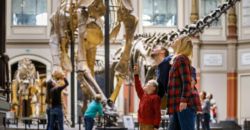 Berlin: Natural History Museum Entrance Ticket - Exploring the Dinosaur Hall