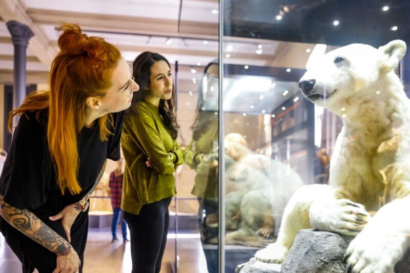 Berlin: Natural History Museum Entrance Ticket - Pricing and Value for Money