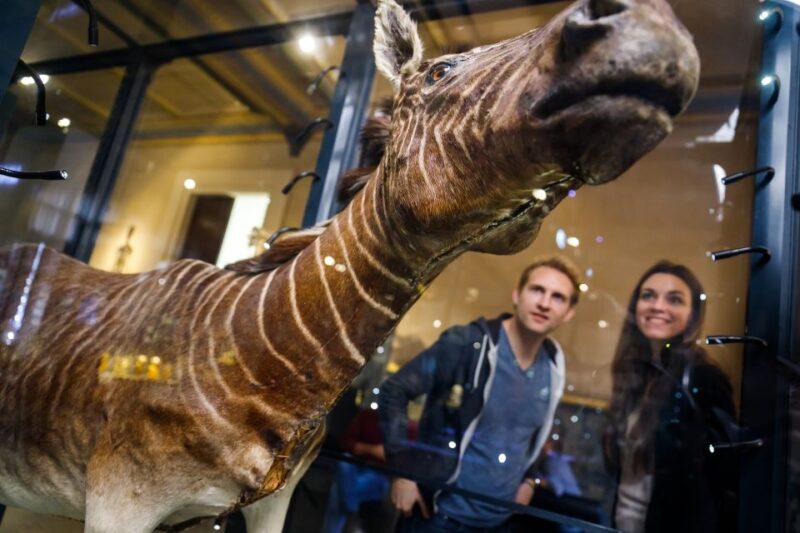 Berlin: Natural History Museum Entrance Ticket - Who Should Visit?