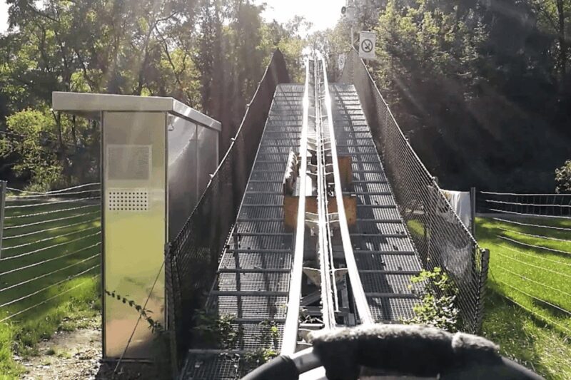 Berlin: Nature Bobsled Run Ticket - The Practical Side: Costs, Accessibility, and Conditions
