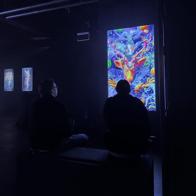Berlin: P61 Gallery - Who Should Consider Visiting