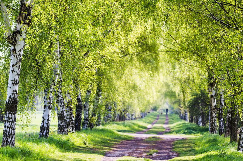 Berlin: Photo course Landschafts- & Naturfotografie - What Makes This Photo Course Stand Out?