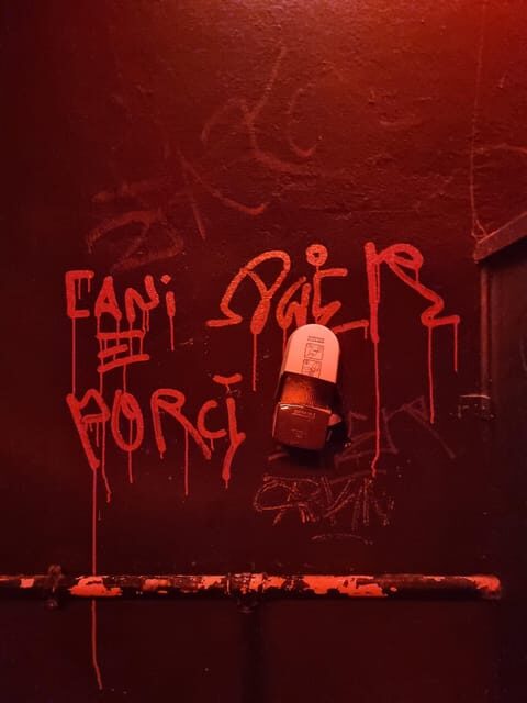 Berlin: Premium Underground Party Tour - Authentic Feedback from Previous Participants