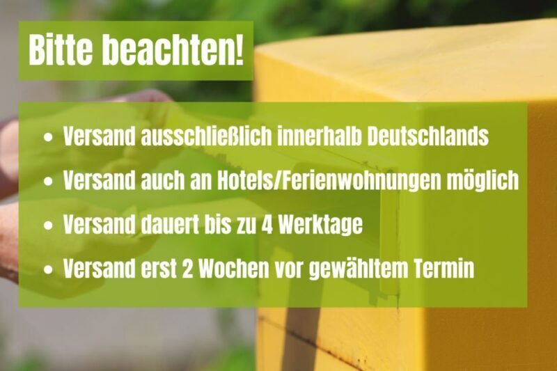 Berlin Prenzlauer Berg: Scavenger Hunt Self-Guided Tour - The Practical Side: What to Expect
