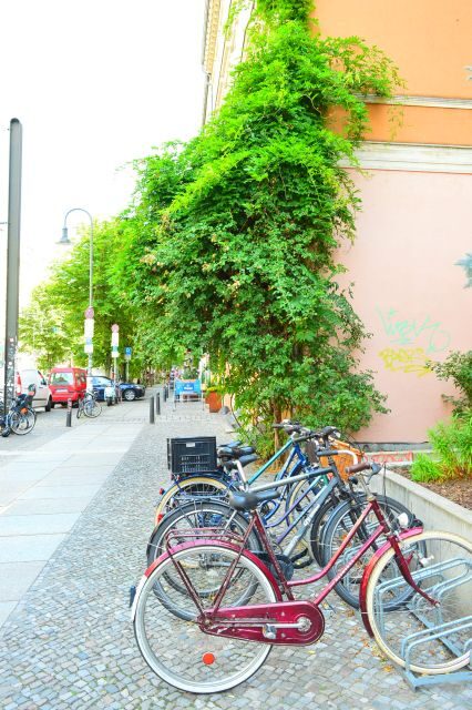 Berlin Reunited and Revived! 3-Hour Alternative Tour - A Deep Dive into the Tour Experience