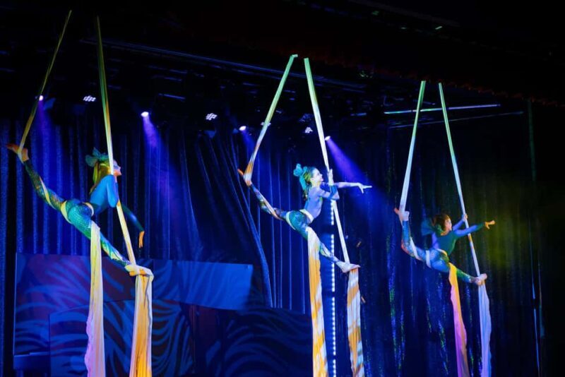 Berlin: Snow White - Children Variety Show Ticket - Key Points