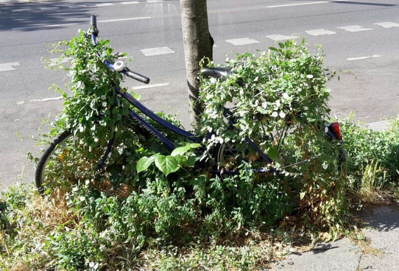 Berlin: Street Art and Alternative Tour - Who Should Consider This Tour?