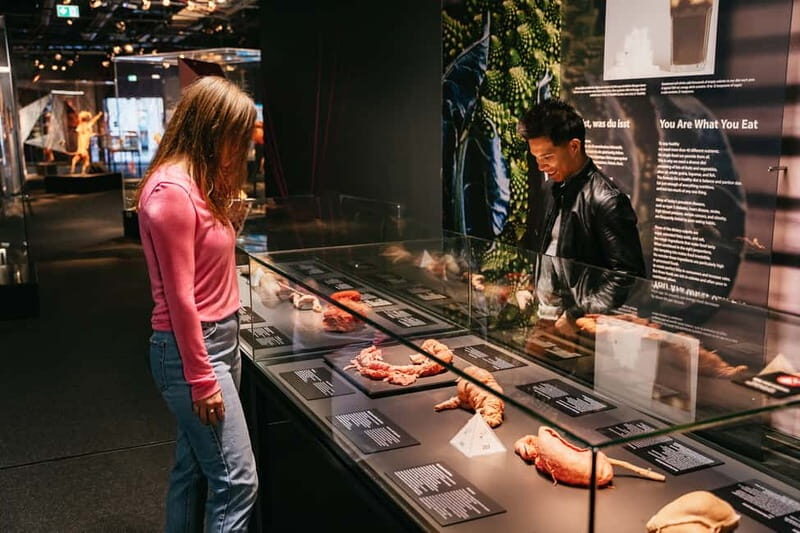 Berlin: Tickets for the BODY WORLDS Museum in Berlin - How the Experience Adds Value
