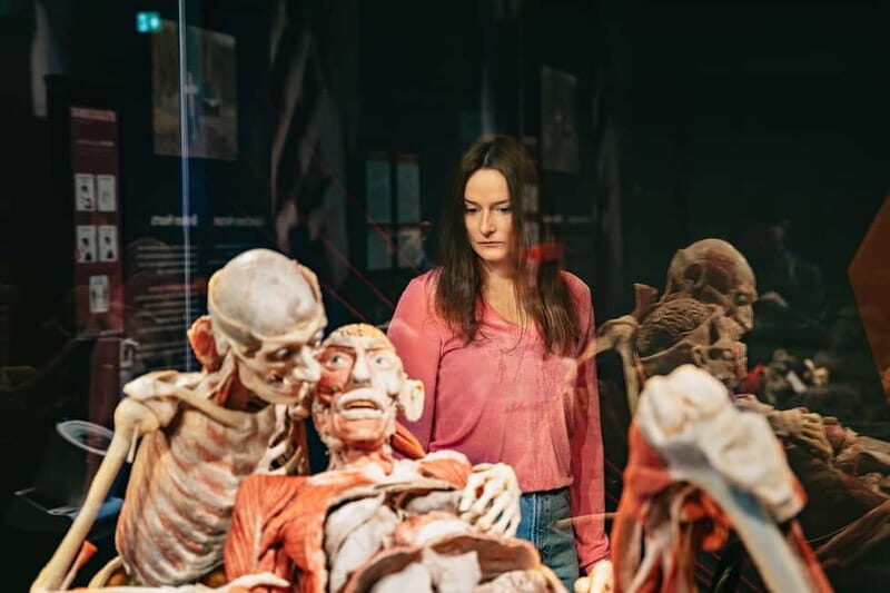 Berlin: Tickets for the BODY WORLDS Museum in Berlin - Who Will Enjoy This the Most?