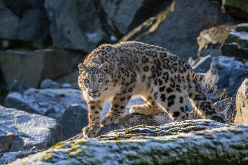 Berlin: Tickets for the Tierpark in East Berlin - Why This Tour Works Well