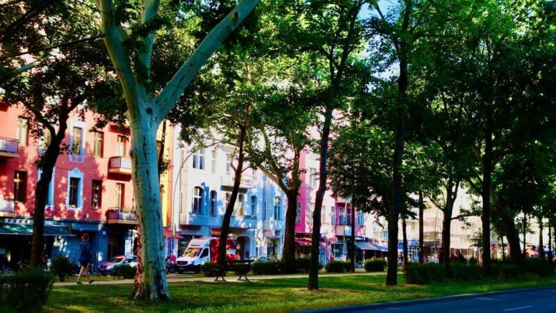Berlin: Vegan Food & Cultural Walking Tour in Friedrichshain - Who Should Consider This Tour?