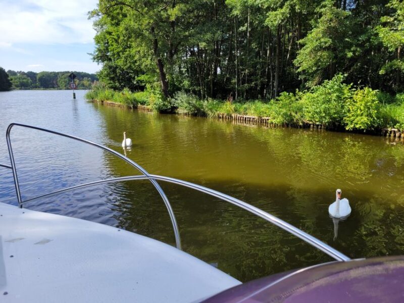 Berlin:Guided South Berlin Yacht Tour with Swim Stop (relax) - Practical Details and Value
