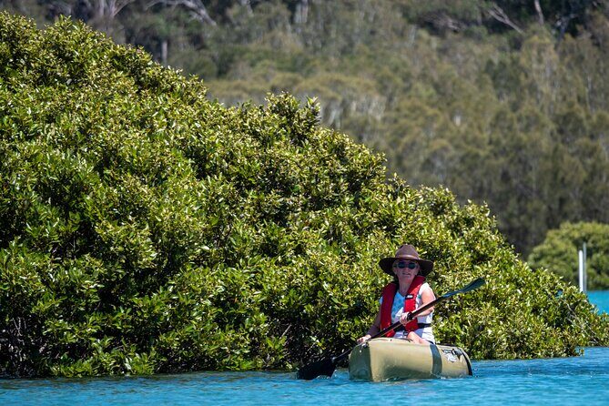 Bermagui River Kayak Tour - Final Thoughts