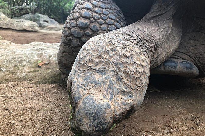 Bermuda Aquarium and Crystal Caves Admission - To sum it up