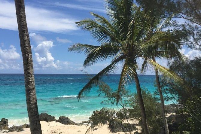 Bermuda Beach Hop Experience - Pricing and Value