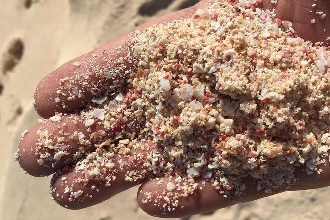 Bermuda Gems and Private Resort Beach Day Experience - Key Points