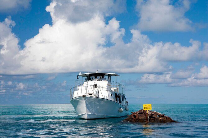 Bermuda Glass Bottom Boat Cruise - A Close Look at the Bermuda Glass Bottom Boat Experience