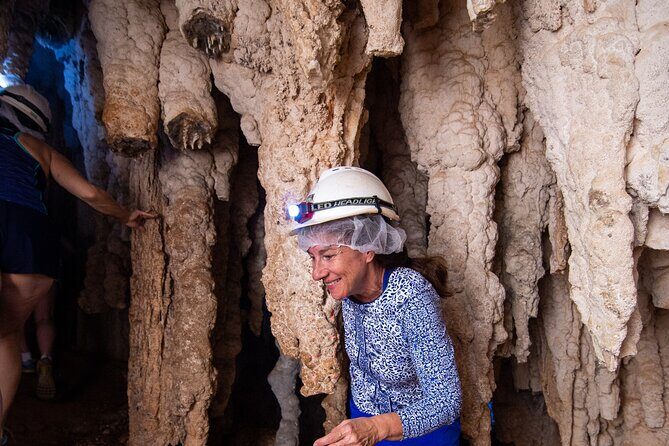 Bermuda Hidden Gems Half-Day Winter Excursion - Authentic Insights from Past Travelers