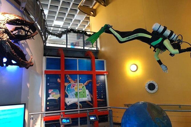 Bermuda Underwater Exploration Institute and Aquarium Adventure Day - Who Would Love This Tour?