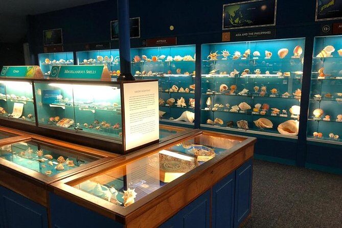 Bermuda Underwater Exploration Institute and Aquarium Adventure Day - The Sum Up: A Solid Choice for Ocean Lovers