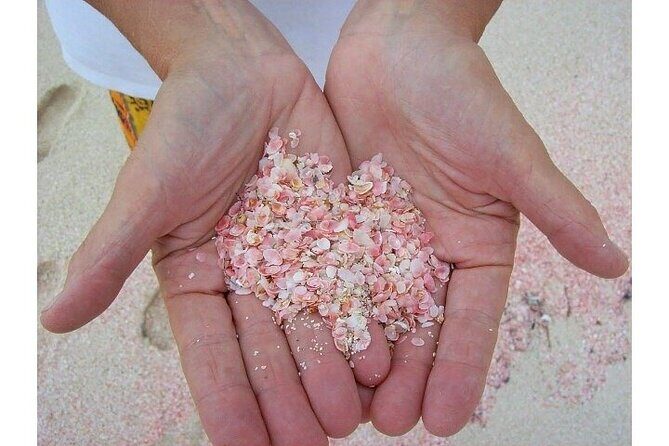 Bermudaful Island Beach Hop - Key Points