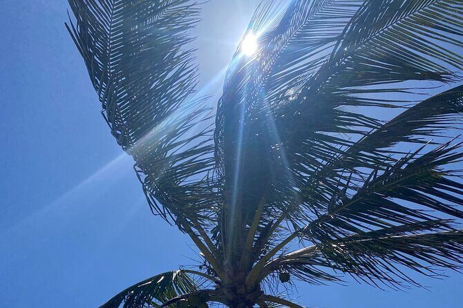 Bermudaful Island Tour - Key Points